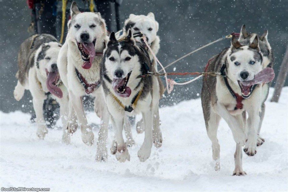האם נועדנו לרוץ? ואיך מכינים סנדלי ריצה | בידיים